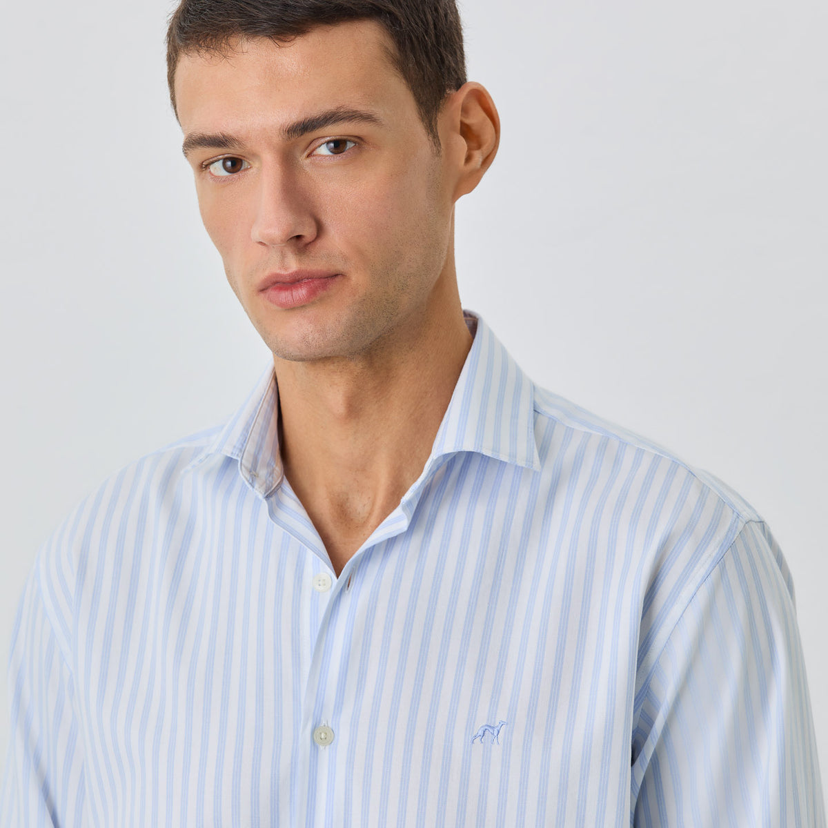 Regular Fit Shirt With Open Collar In BCI Cotton With Stripes – Sacoor ...